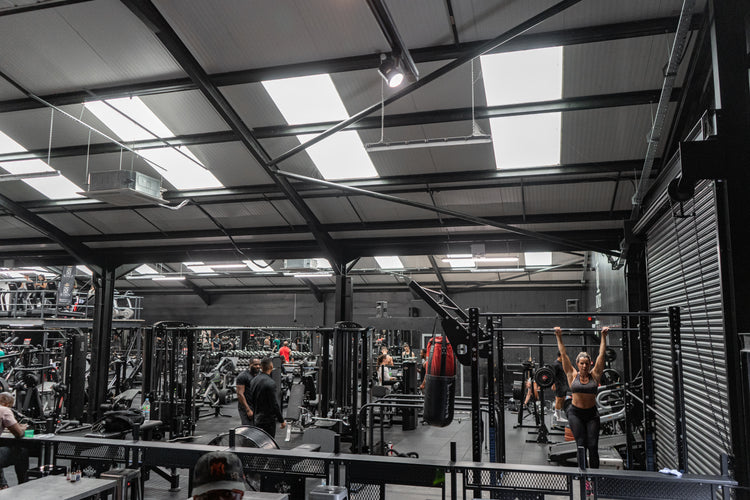 Explore Our Gyms – kingsgyms