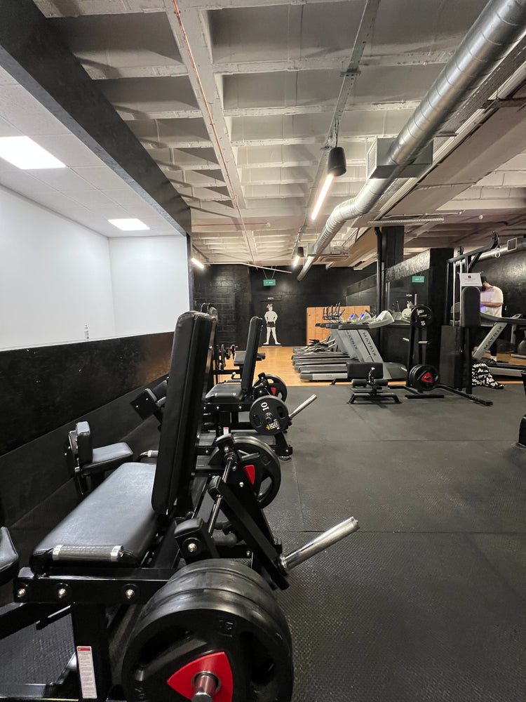 Kings Gym Brighton – Fitness & Strength Training – kingsgyms