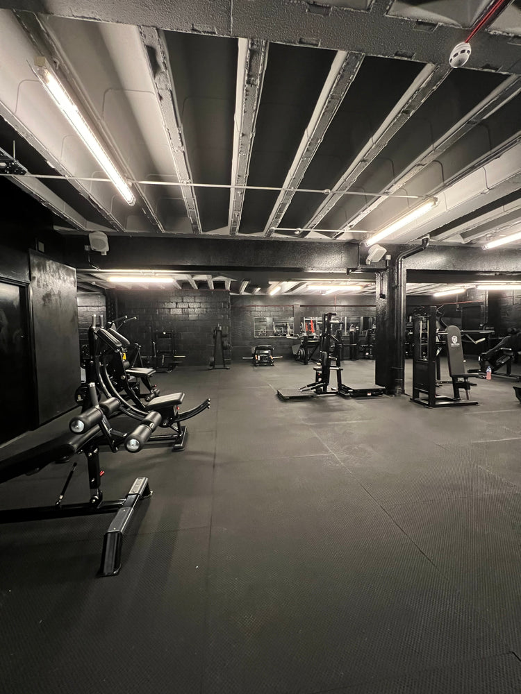 Kings Gym Brighton – Fitness & Strength Training – kingsgyms