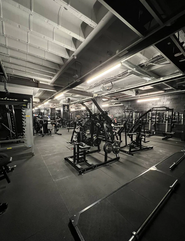 Kings Gym Brighton – Fitness & Strength Training – kingsgyms